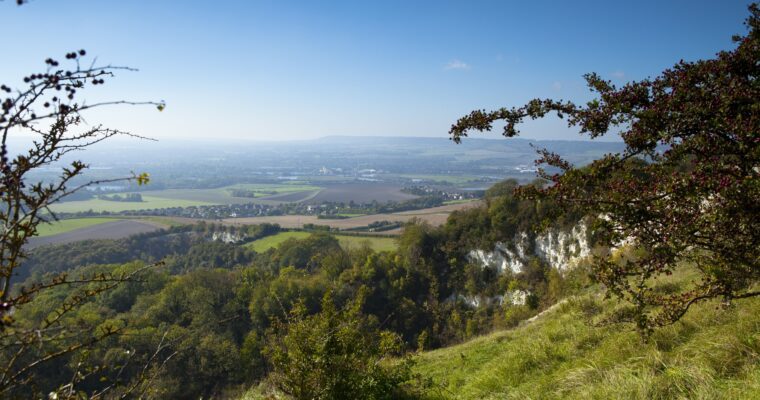 Blue Bell Hill and Culand Pits Guided Walk - Kent Downs