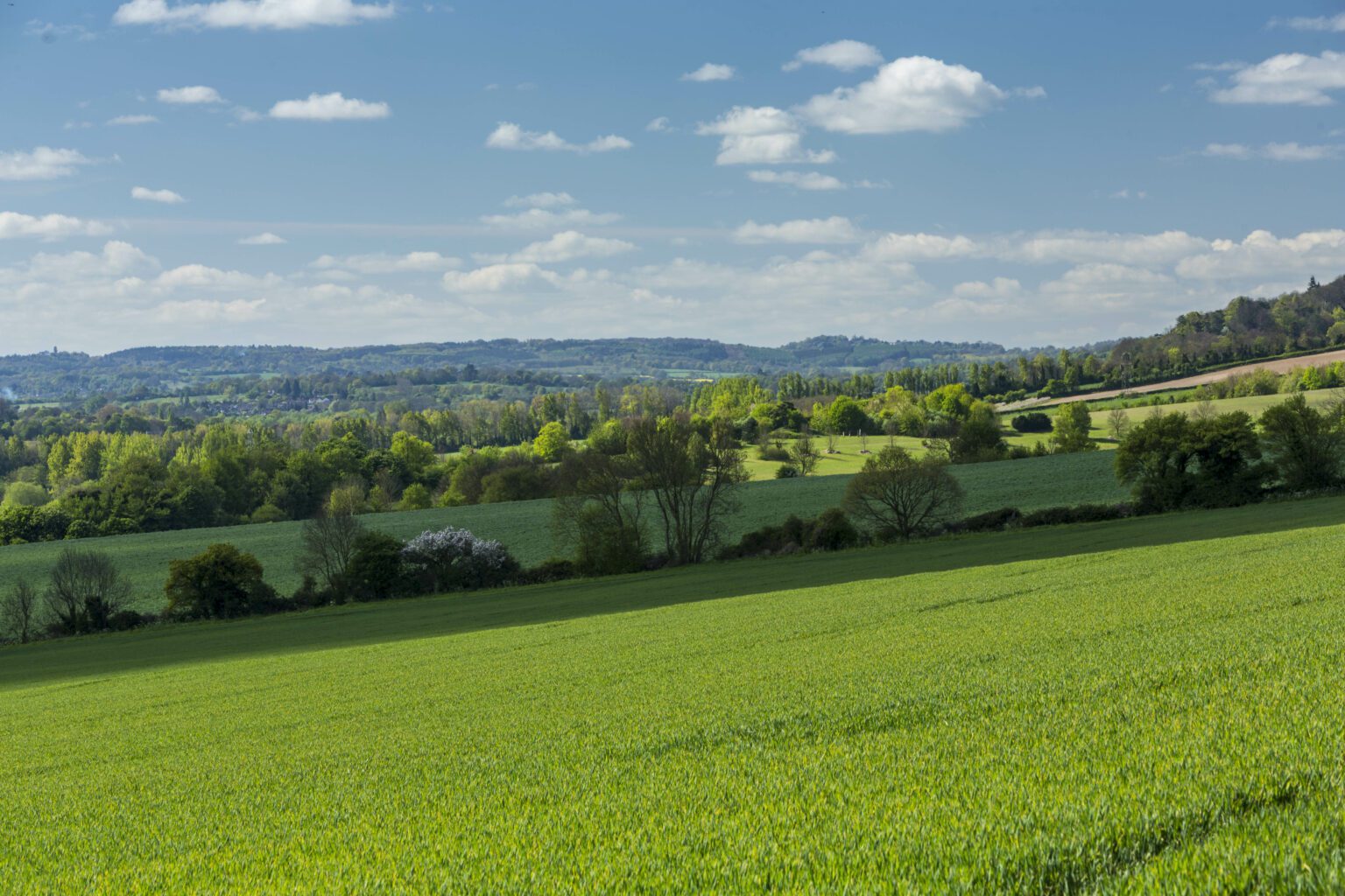Farming in Protected Landscapes - Kent Downs