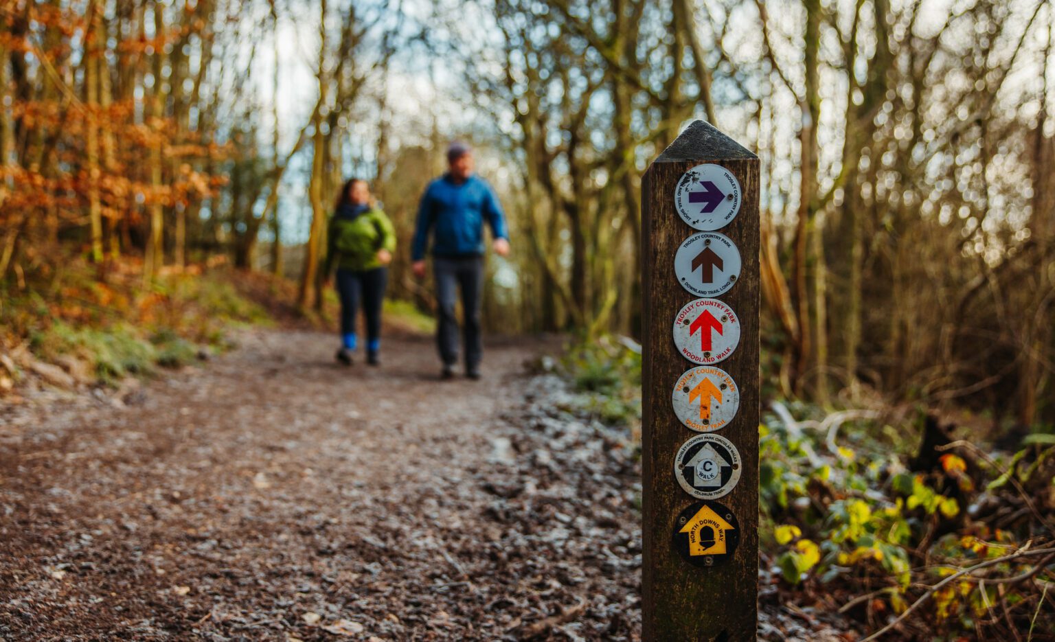 Trosley Country Park - Kent Downs