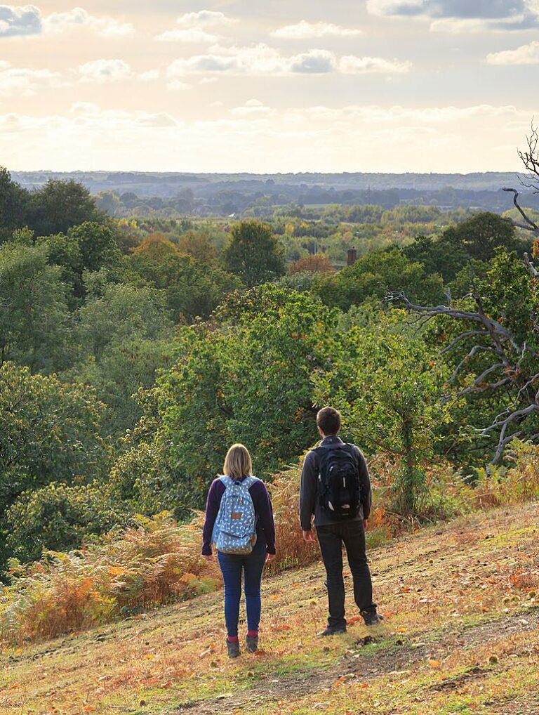 Discover the North Kent Woods and Downs National Nature Reserve - Kent ...