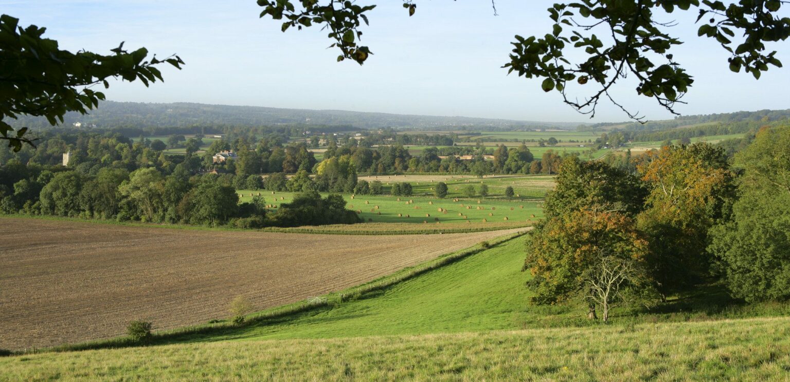 North Downs Way Rail Trails - Kent Downs